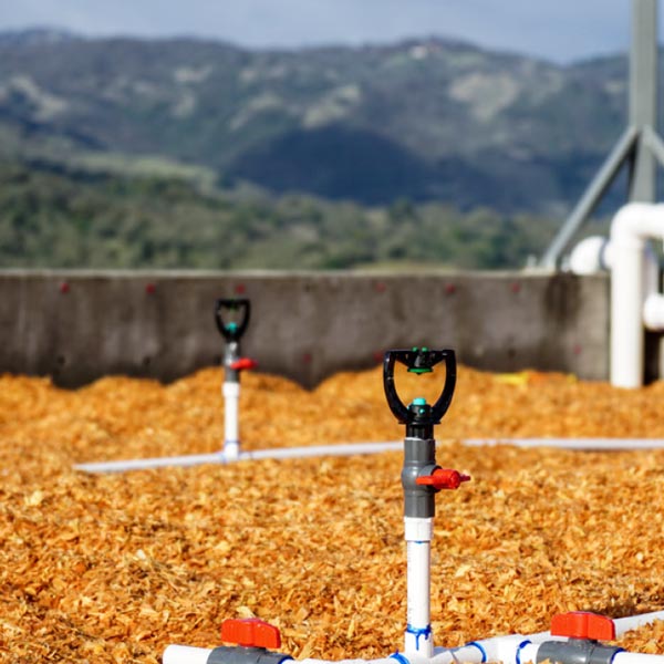 BioFiltro Chile - Nuestros Servicios