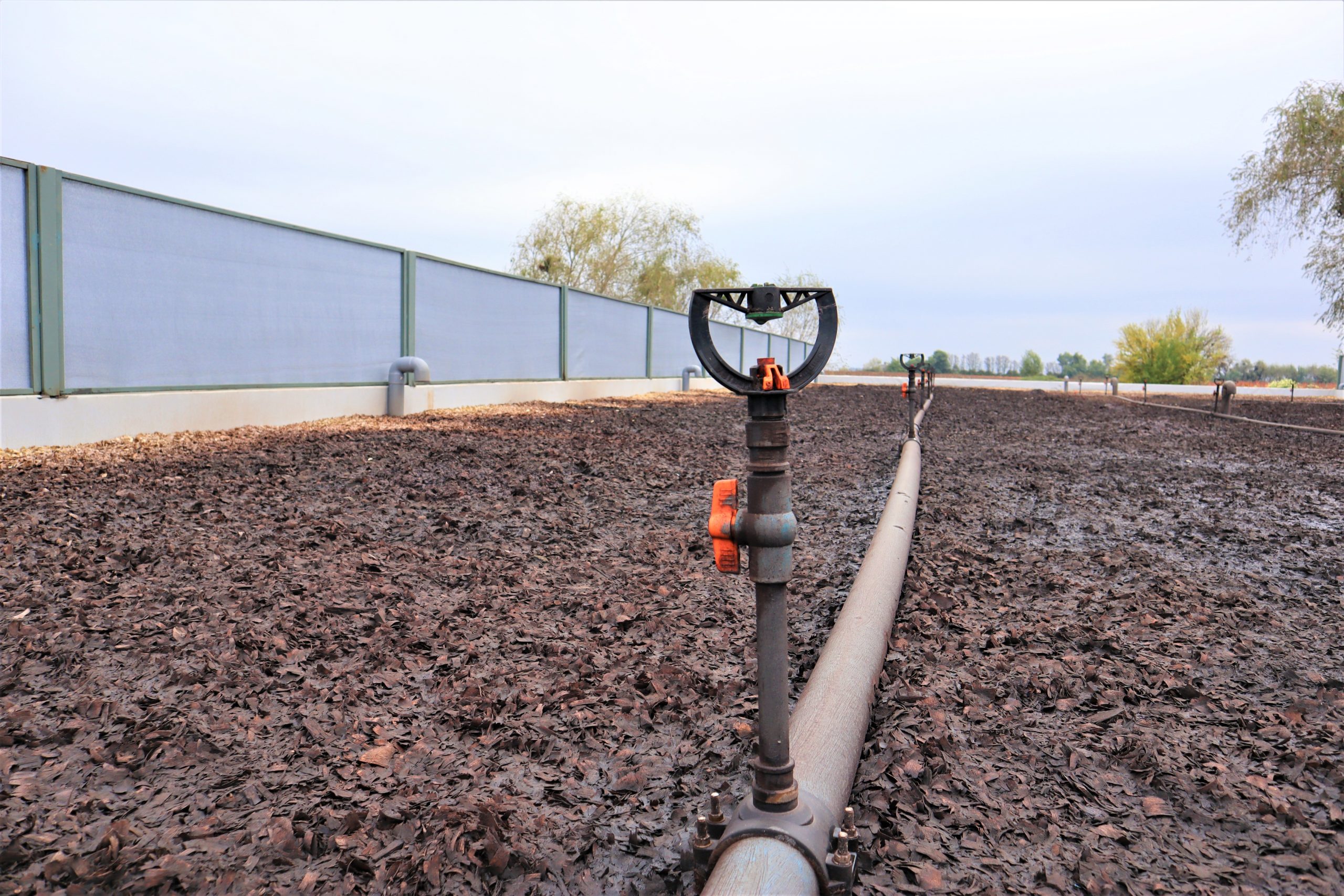 Contacto - BioFiltro Chile